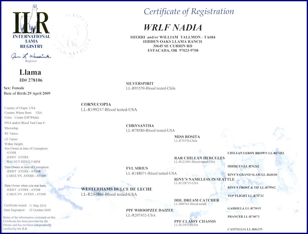 Hidden Oaks Llama Ranch