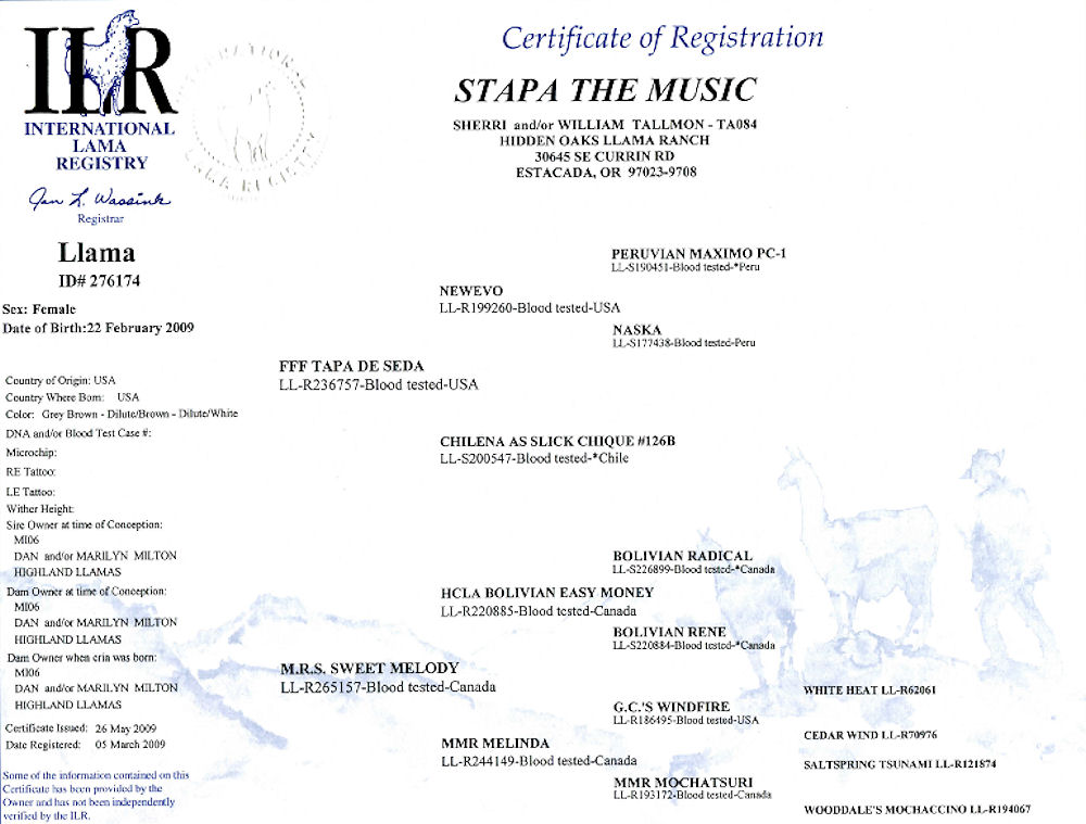 Hidden Oaks Llama Ranch